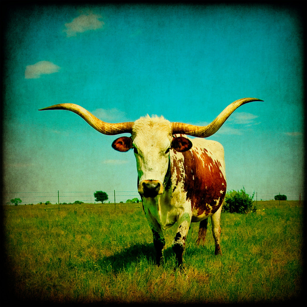 Photography– Adobe Western Art Gallery